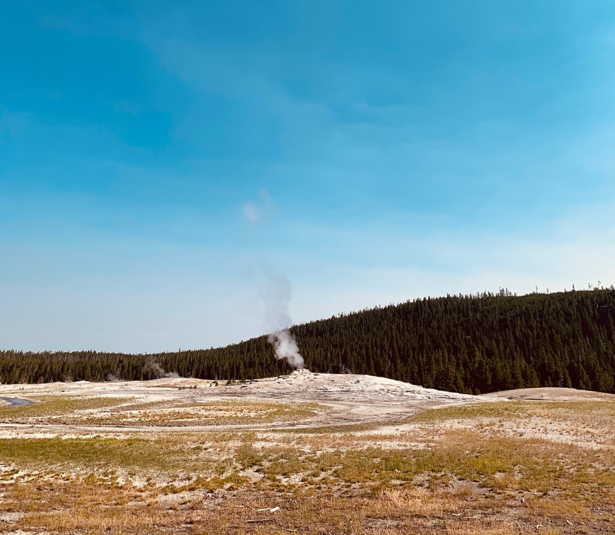 Yellowstone National Park – Steve Good Photo